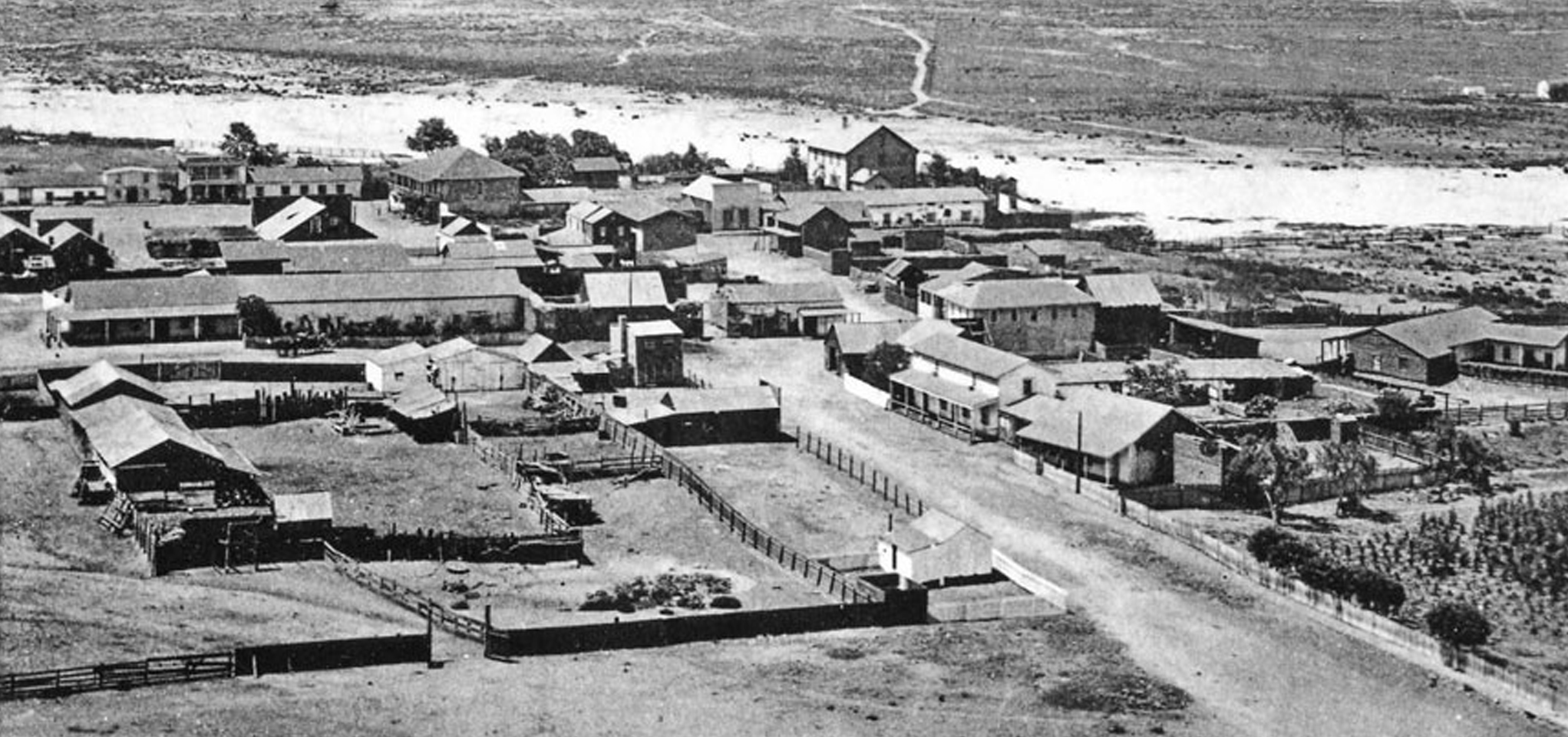 EDSD: » Our History: The Beginning