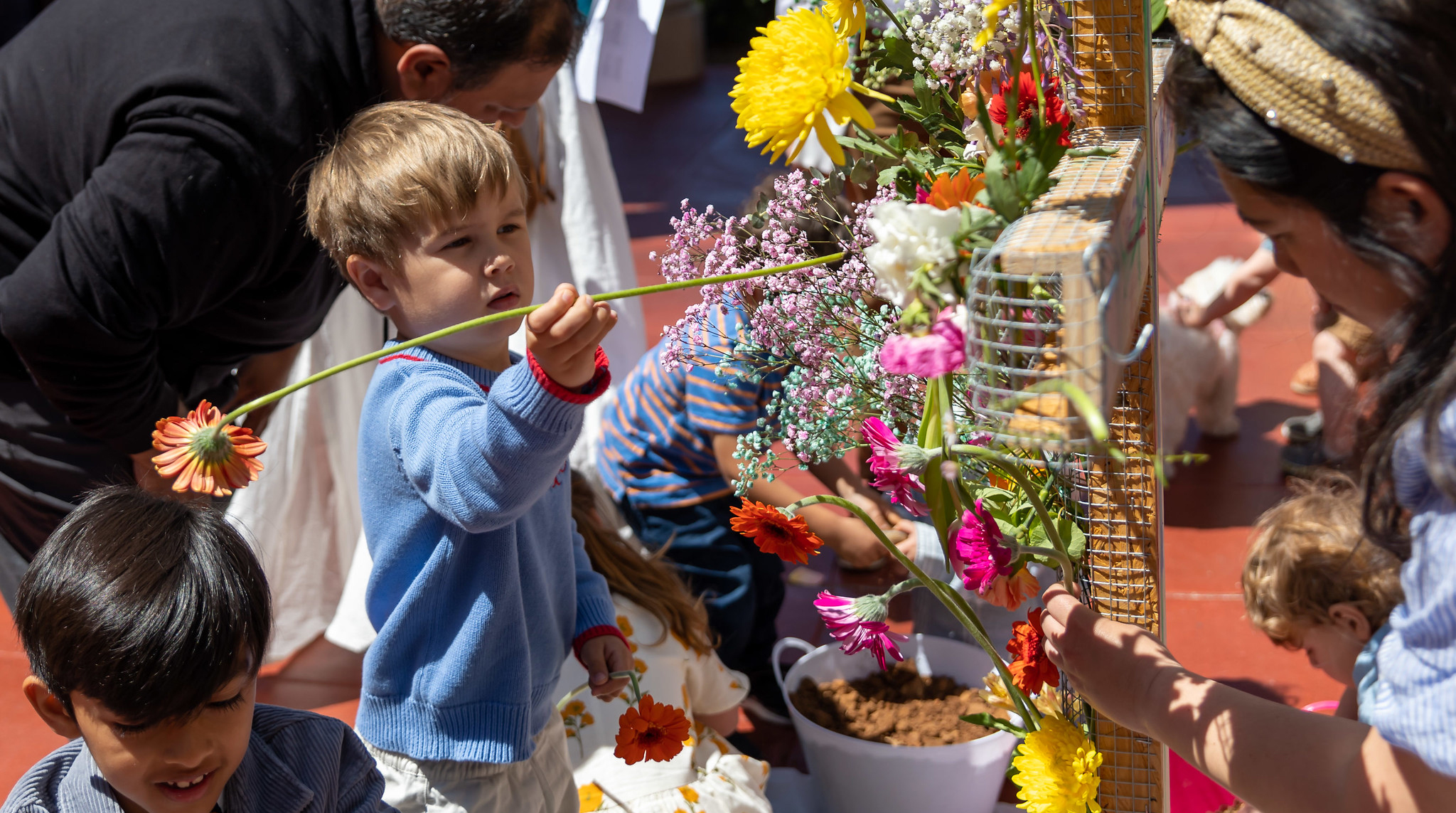 EDSD: » 2024 » March